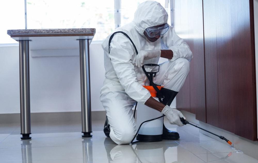 Pest Control East Auckland | Trusted & Affordable Pest Control